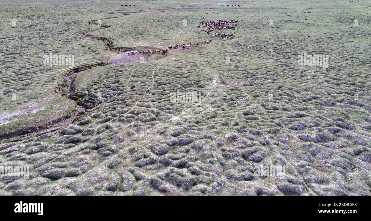 Xinjiang barkol: wetland grassland of drought Stock Photo - Alamy
