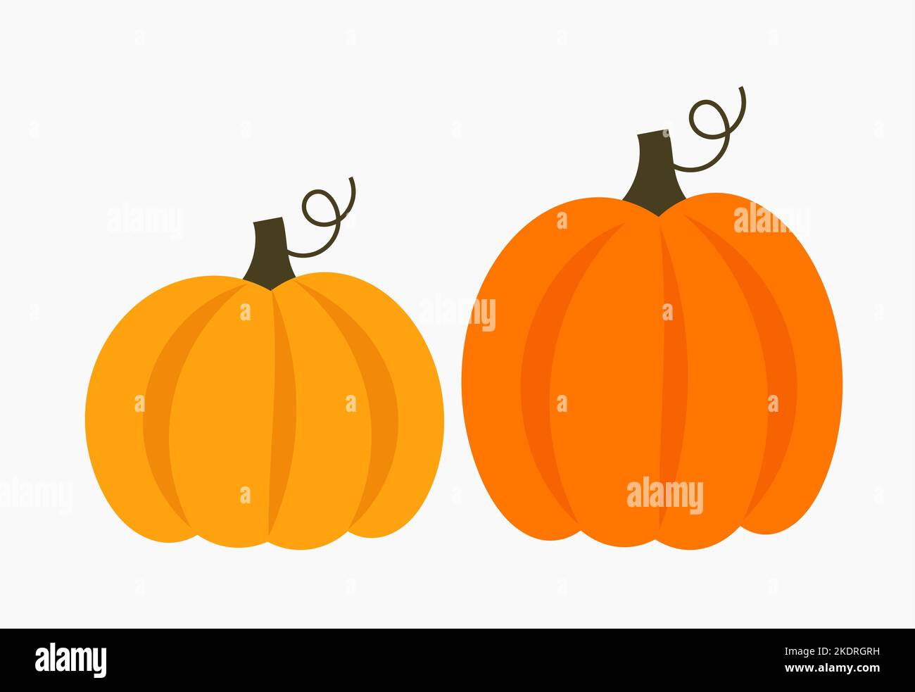 Two big pumpkins isolated on white background. Autumn pumpkins vector illustration Stock Vector ...