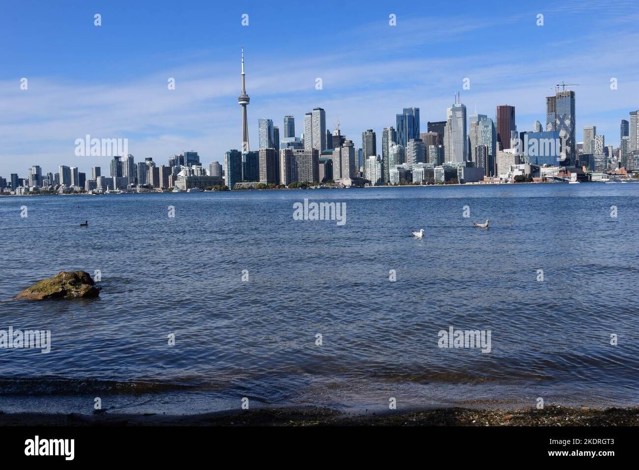 Toronto park view downtown hi-res stock photography and images - Alamy
