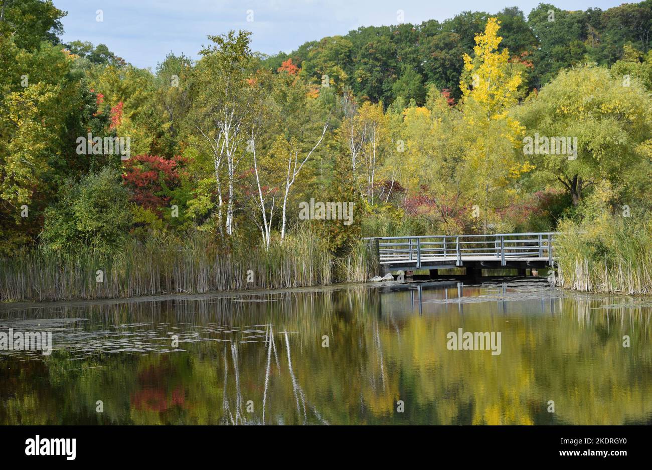 Enjoy the Fall Foliage in Toronto Stock Photo - Alamy