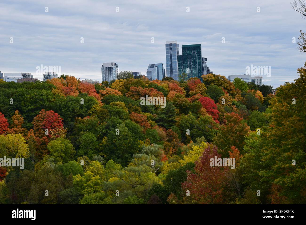 Autumn in Toronto Stock Photo - Alamy