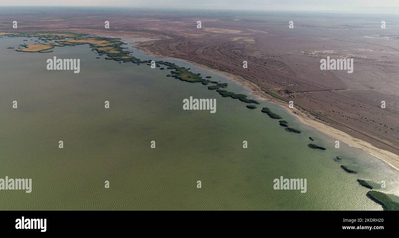 Inner Mongolia mesozoic-cenozoic: juyan lake basin after the rain, like ...