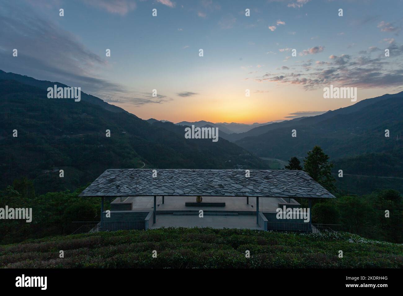 Tea plantations rural setting hi-res stock photography and images - Alamy