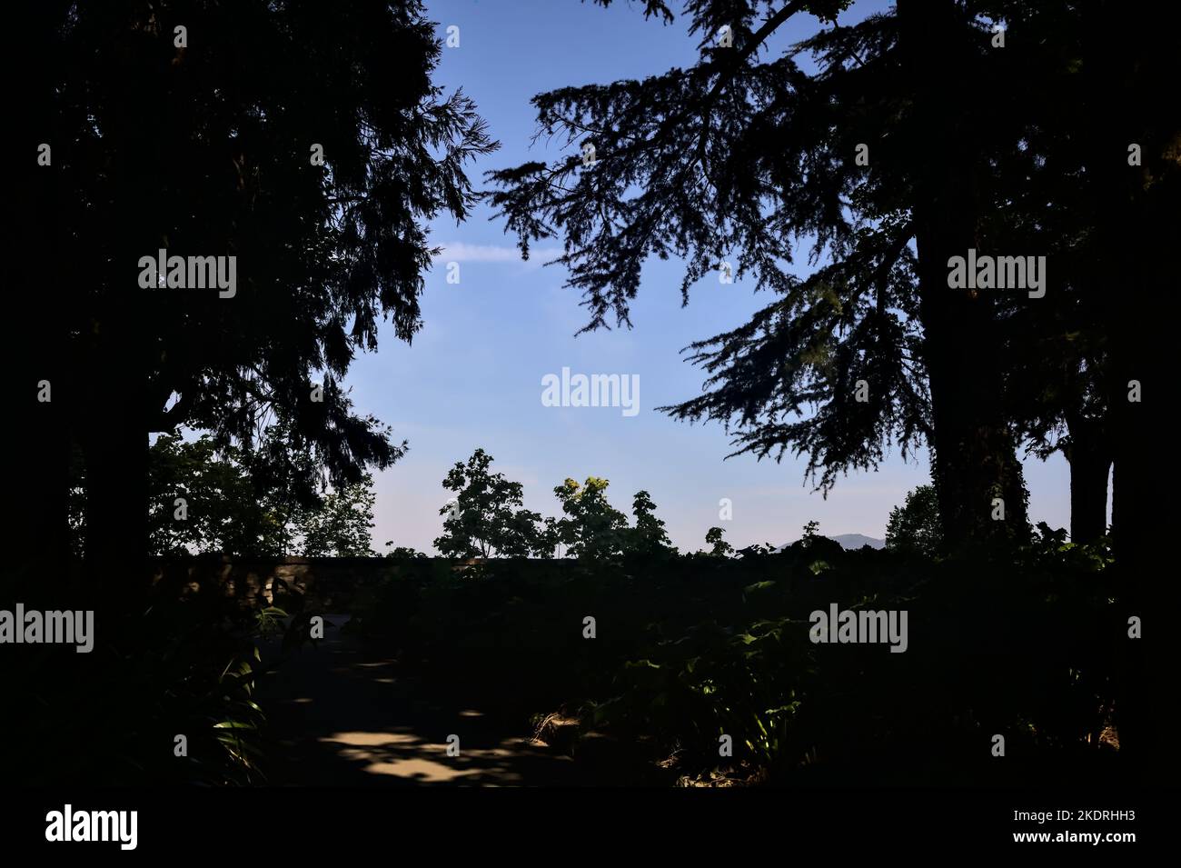 Path in the shade next to a balustrade in a park Stock Photo - Alamy