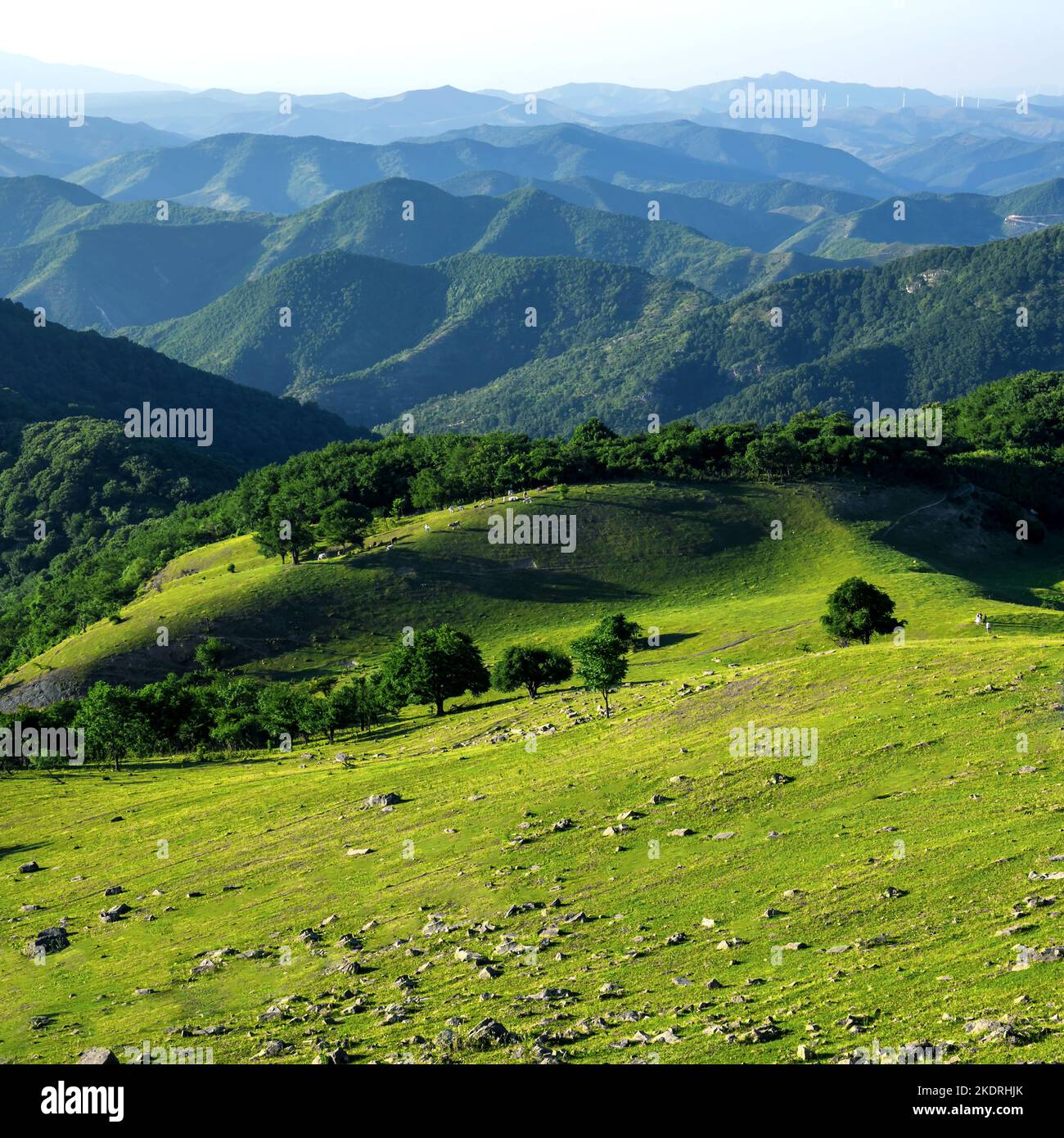 China henan alpine meadow in the western mountainous areas Stock Photo ...
