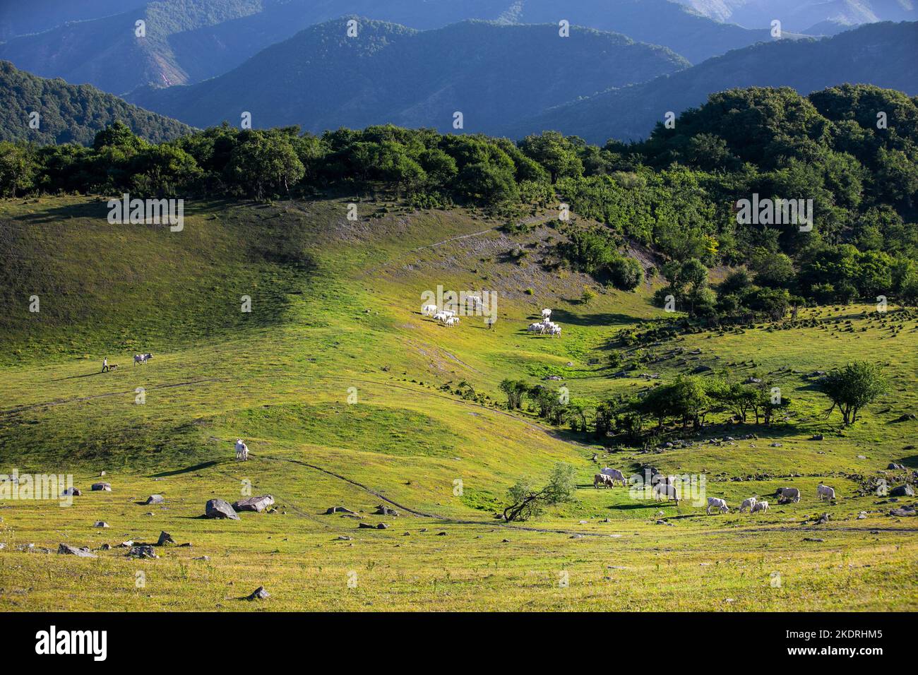 Natural pastures and unmanned hi-res stock photography and images - Alamy