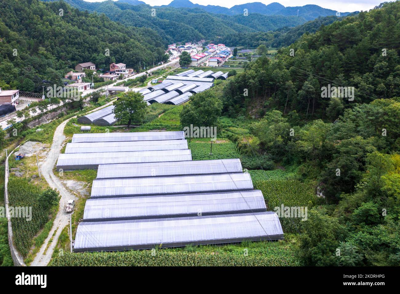 Shade in the western henan rural scenery Stock Photo - Alamy