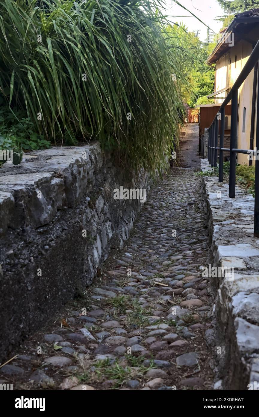 Narrow alley in park hi-res stock photography and images - Alamy