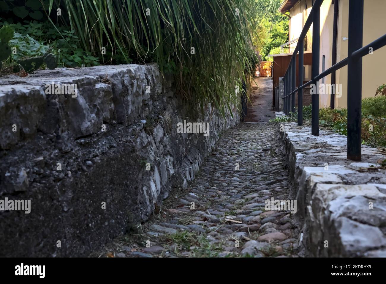 Building by a park hi-res stock photography and images - Alamy