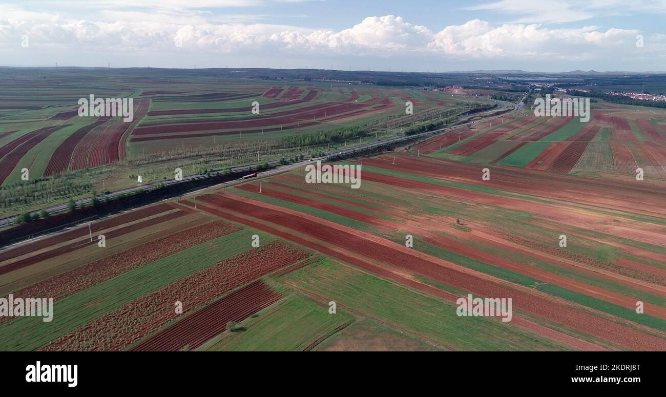 Inner Mongolia WuChuan County: summer rain red, green and red fabulous ...