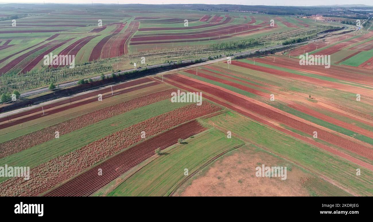 Inner Mongolia WuChuan County: summer rain red, green and red fabulous ...