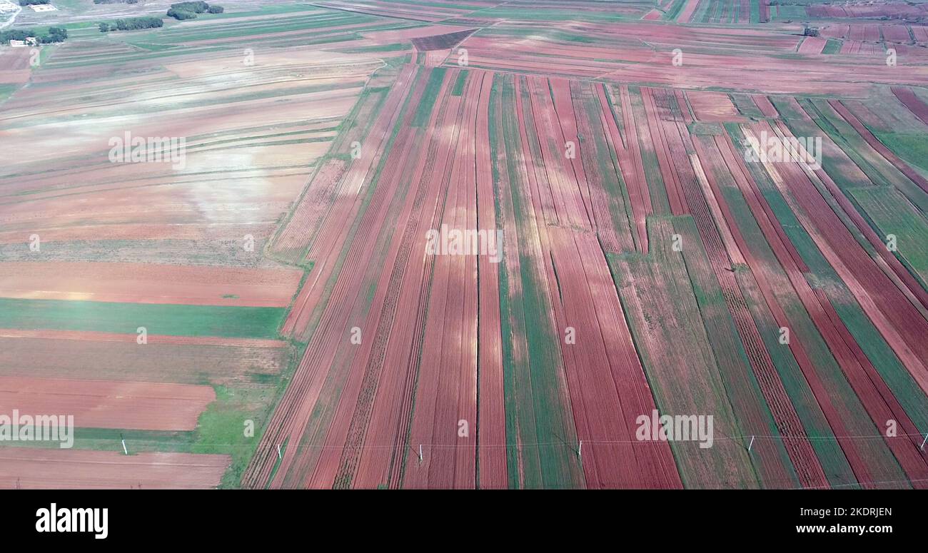 Inner Mongolia WuChuan County: summer rain red, green and red fabulous ...