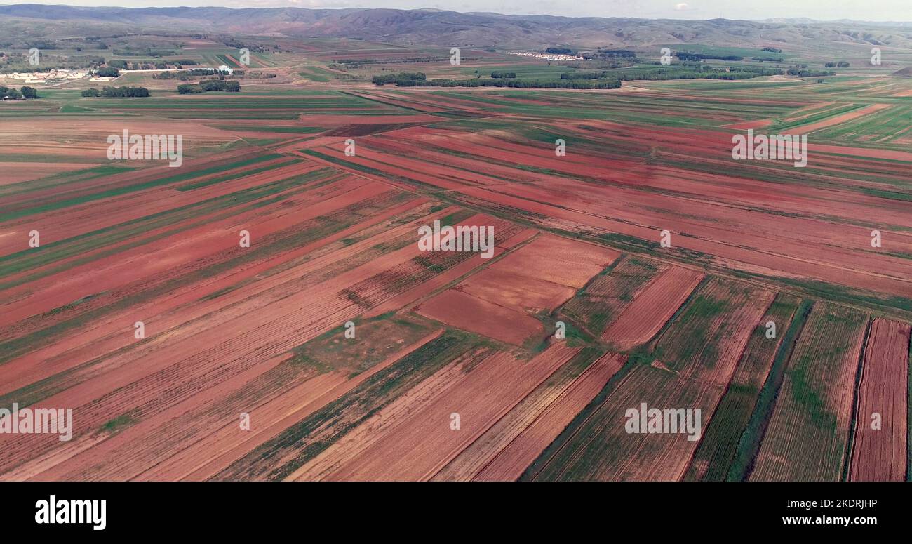 Inner Mongolia WuChuan County: summer rain red, green and red fabulous ...