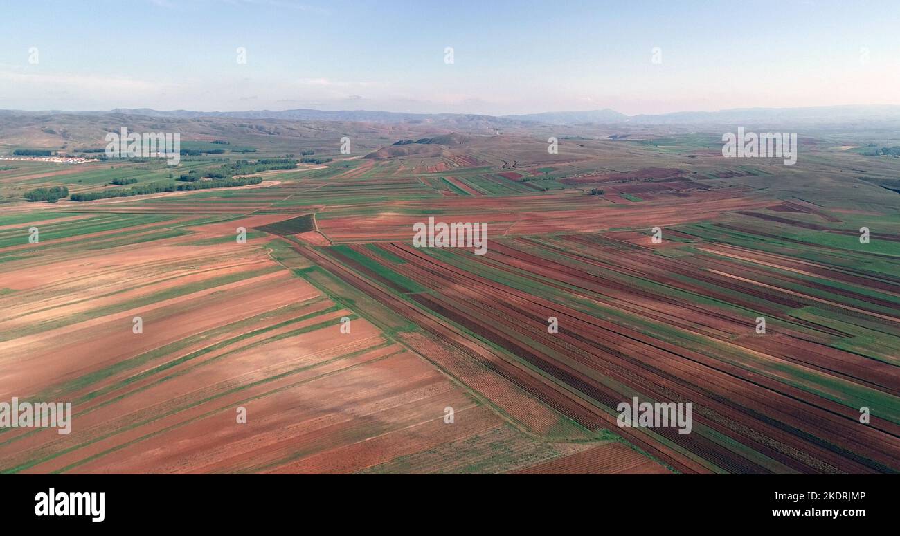 Inner Mongolia WuChuan County: summer rain red, green and red fabulous ...