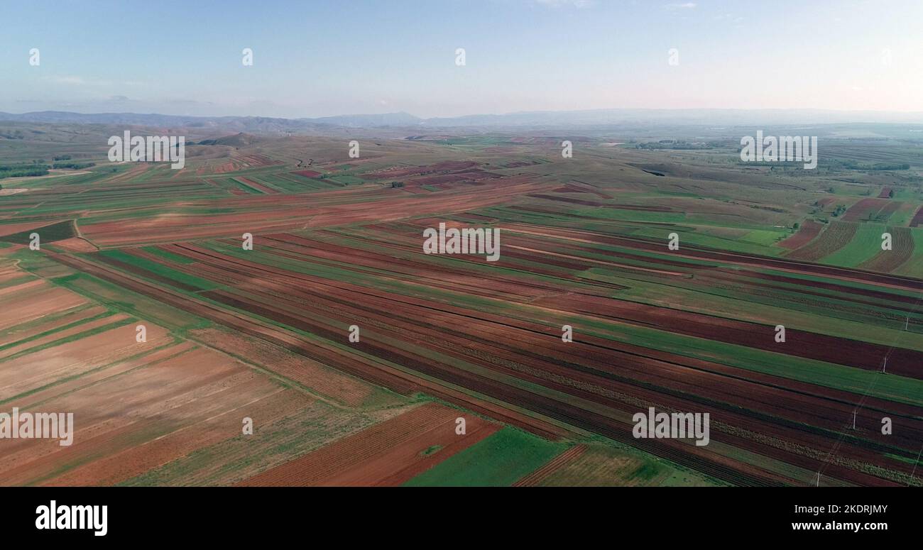 Inner Mongolia WuChuan County: summer rain red, green and red fabulous ...