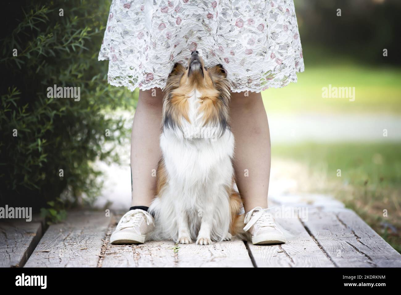 Sitting peoples legs hi-res stock photography and images - Alamy