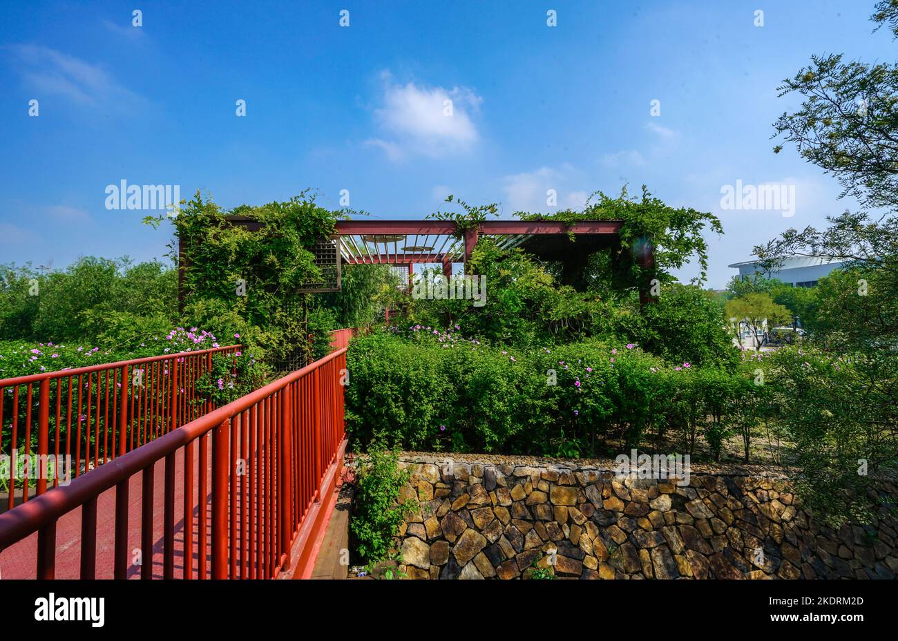 World's Best View Award - Bridge Park Park Stock Photo - Alamy