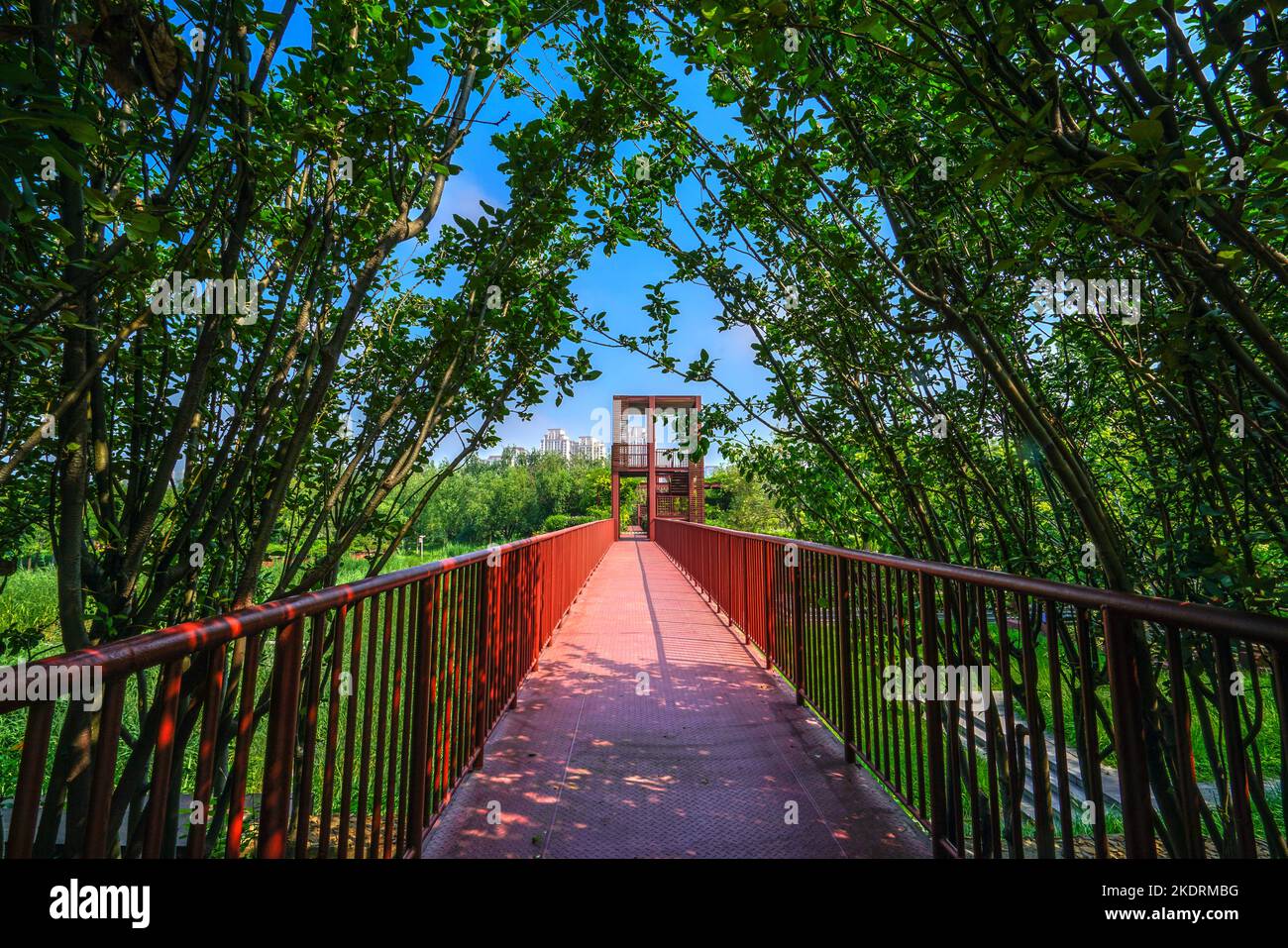 Best View - Bridge Park won the 2019 Global Best View Award Stock Photo ...