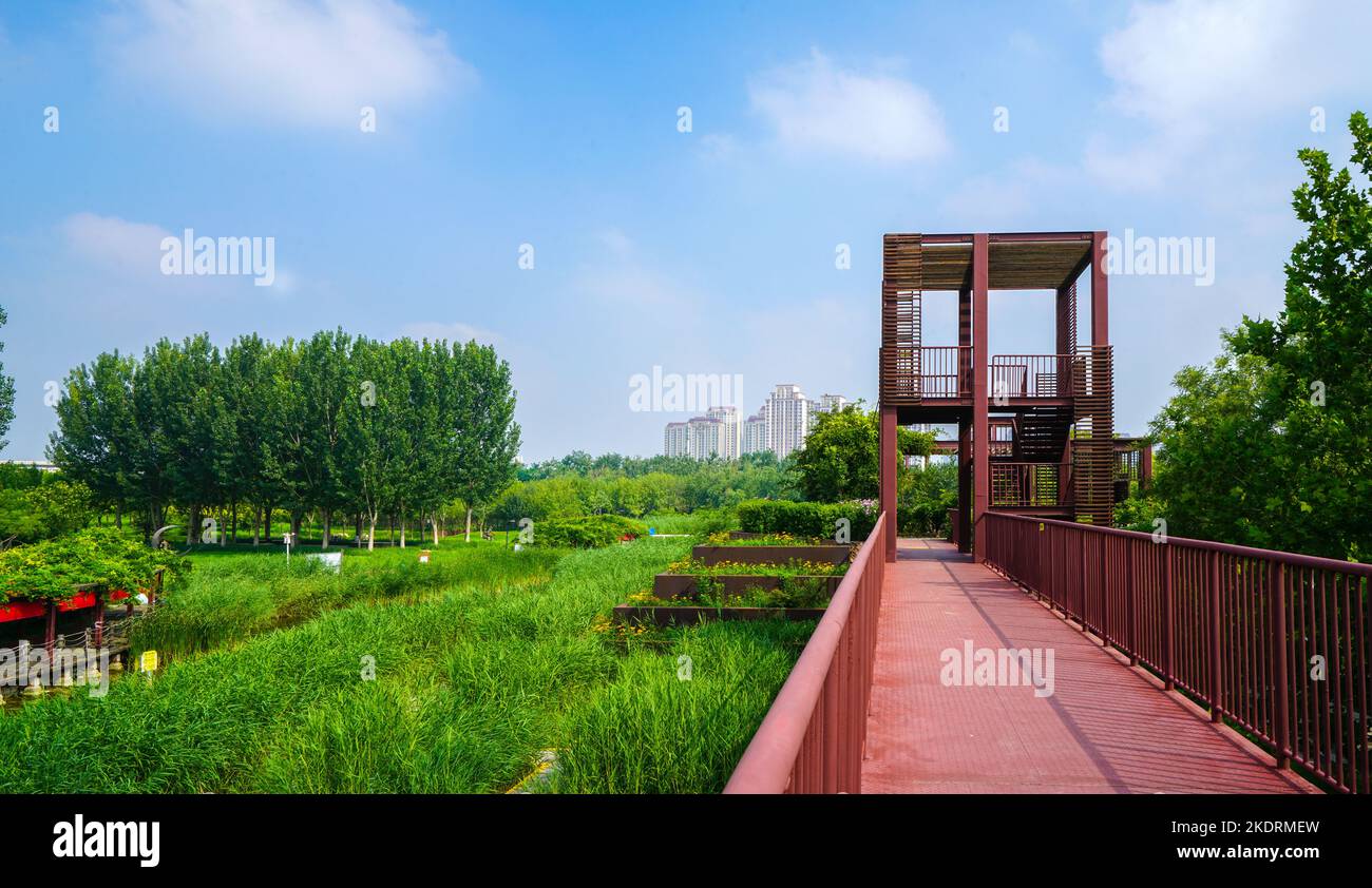 Best View - Bridge Park won the 2019 Global Best View Award Stock Photo ...