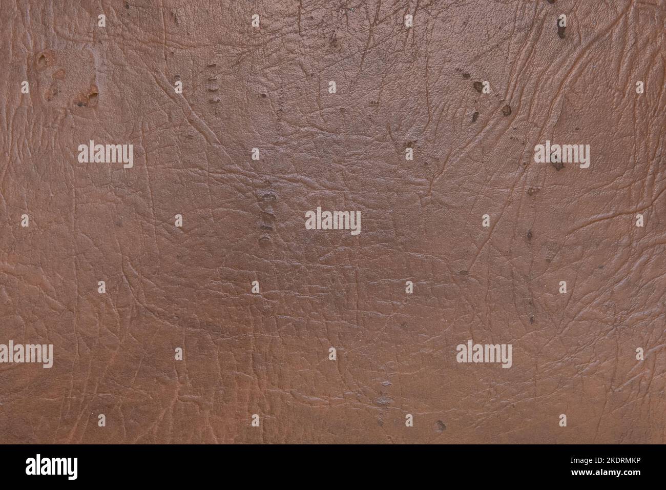 Ripped Leather Texture