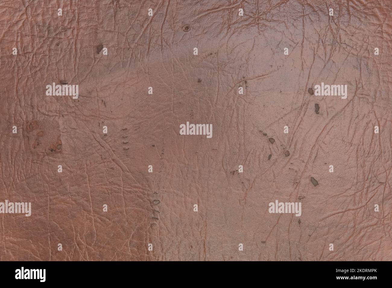 Worn Dark Brown Leather Texture