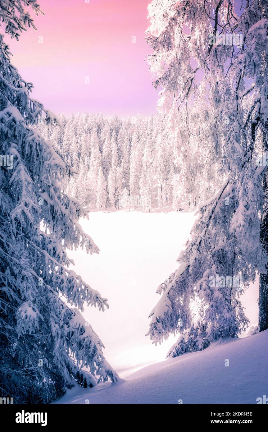 Beautiful winter wonder landscape Black Forest, Germany Stock Photo - Alamy