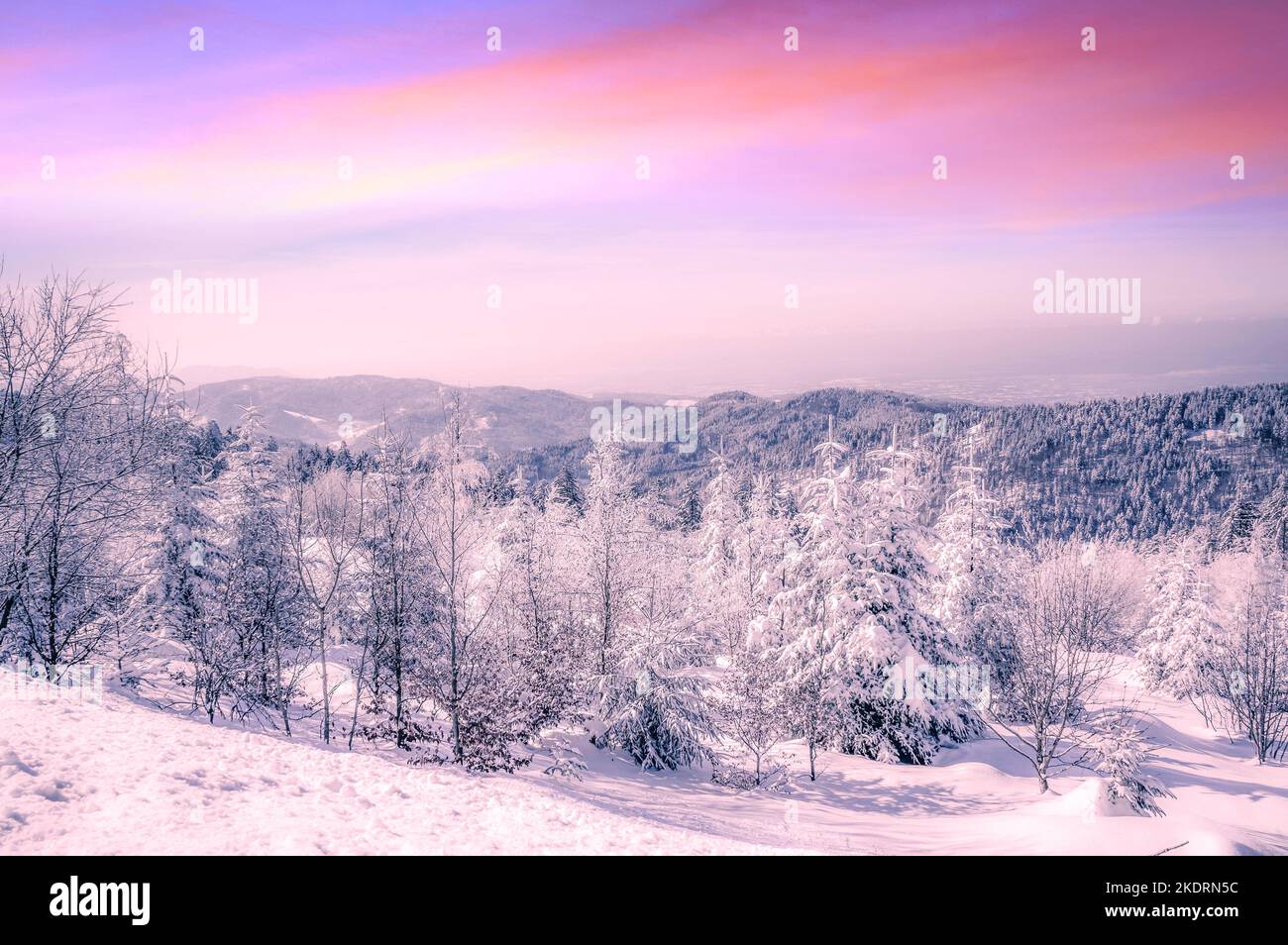 Beautiful winter wonder landscape Black Forest, Germany Stock Photo - Alamy