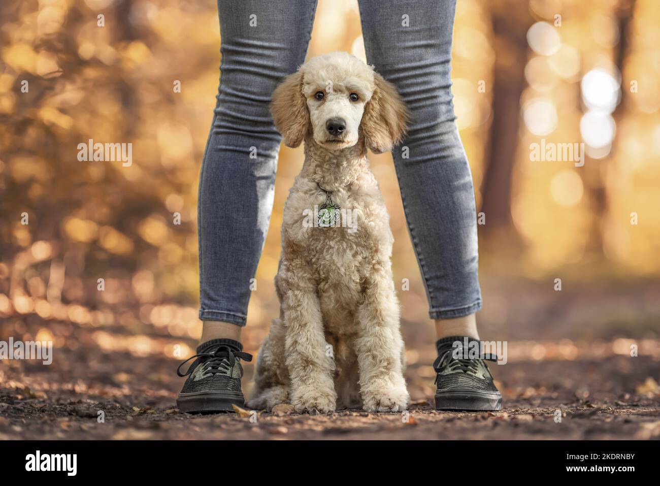 Giant pendant hi-res stock photography and images - Alamy