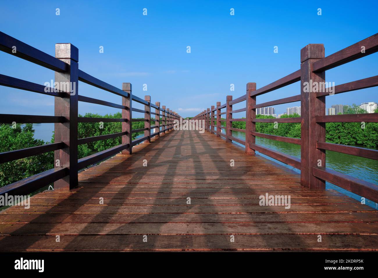 Guangdong maoming Shuidong bay mangrove plank road Stock Photo - Alamy