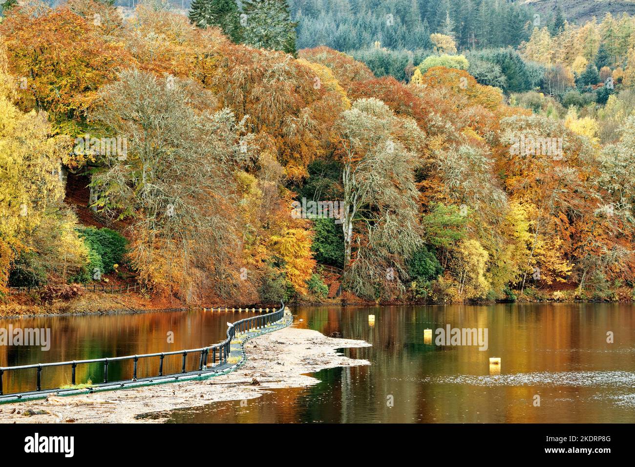 Pitlochry Perthshire Scotland Loch Faskally leaves caught on a boom or ...