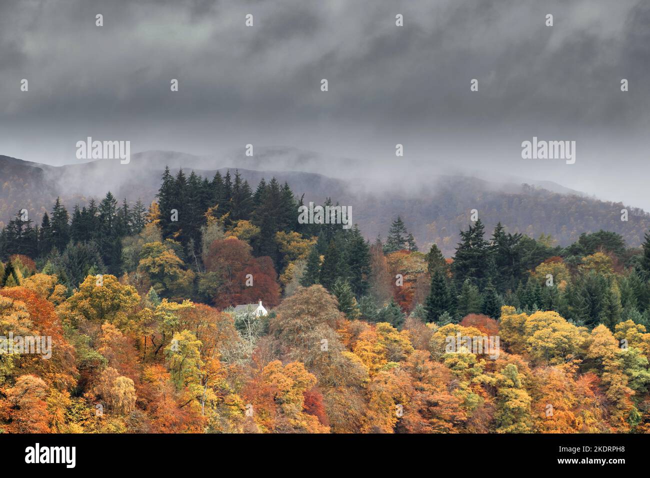Pitlochry Perthshire Scotland Loch Faskally trees in autumn and dense ...