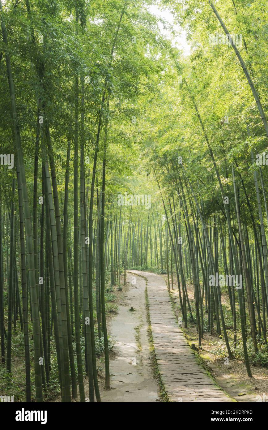 Yibin city hi-res stock photography and images - Alamy