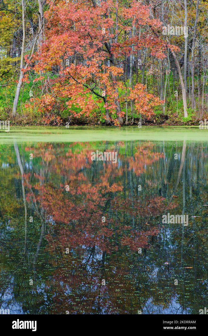 Preserve image hi-res stock photography and images - Alamy