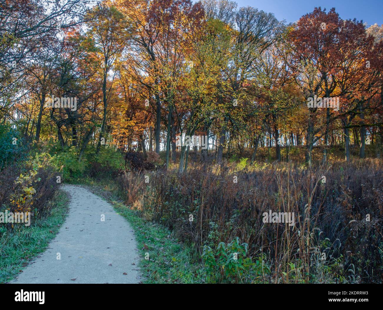 Oldfield oaks hi-res stock photography and images - Alamy