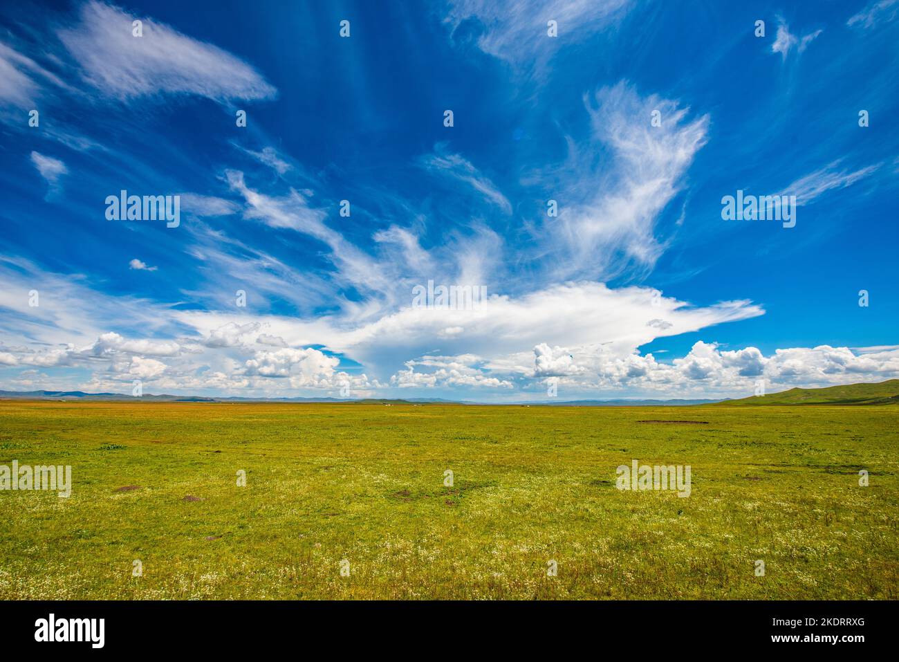 Michael tang hi-res stock photography and images - Alamy