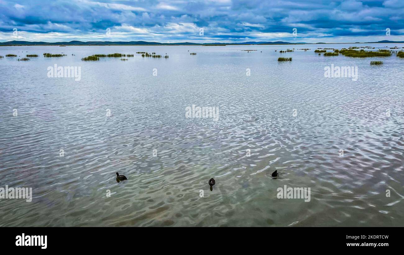 Zoige grasslands hi-res stock photography and images - Alamy