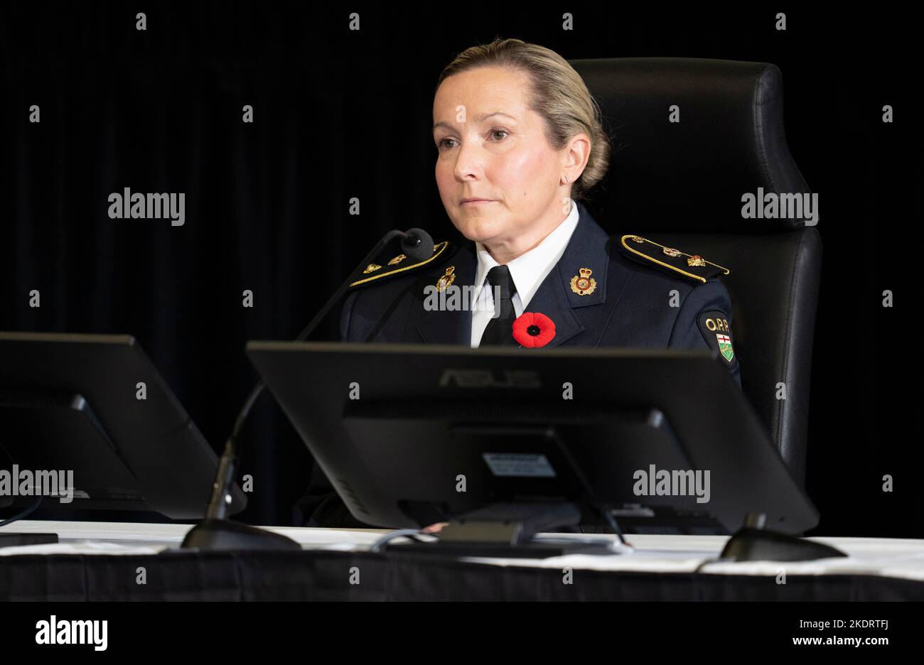 Ontario Provincial Police Superintendent Dana Earley gives testimony at ...