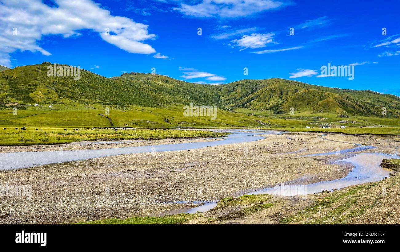 Michael tang hi-res stock photography and images - Alamy