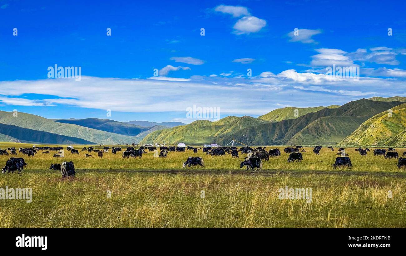 Michael tang highway Stock Photo - Alamy
