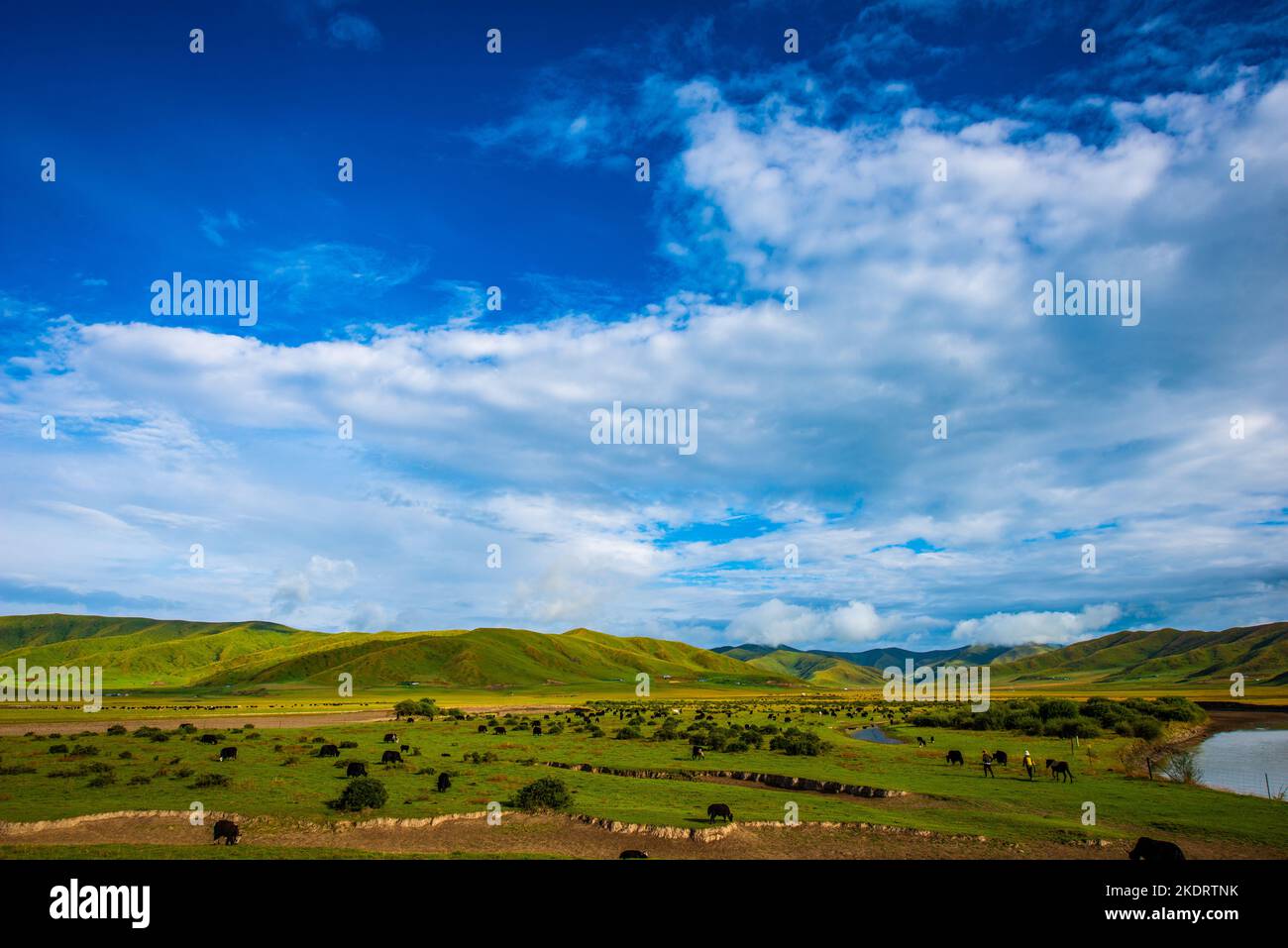 Michael tang road hi-res stock photography and images - Alamy