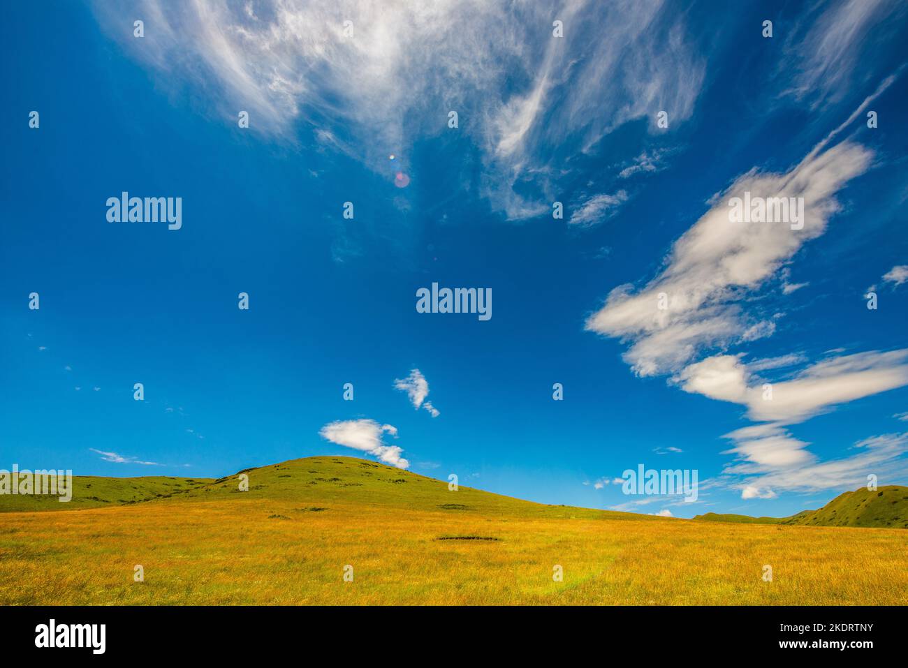 Michael tang highway Stock Photo - Alamy