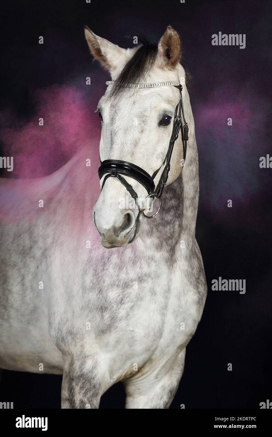 Pale grey powder hi-res stock photography and images - Alamy