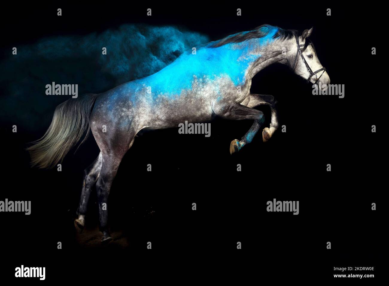 Pale grey powder hi-res stock photography and images - Alamy