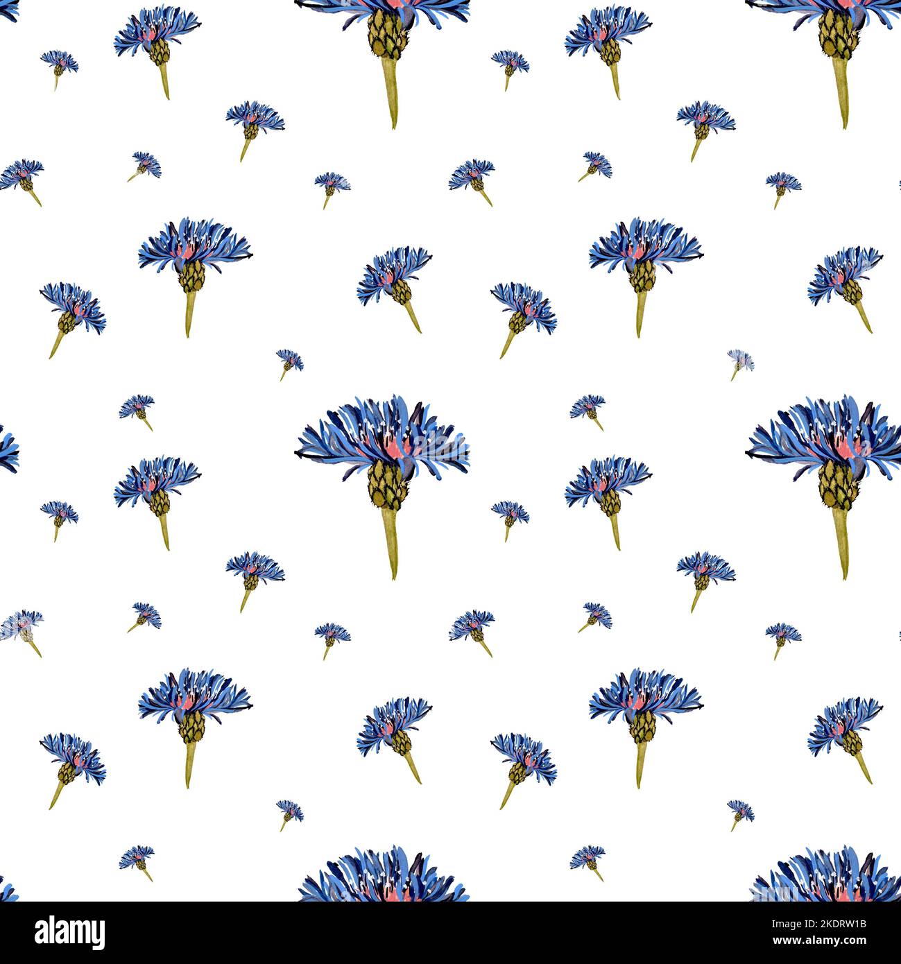 Flower blue violet pattern hand drawn watercolor Stock Photo - Alamy