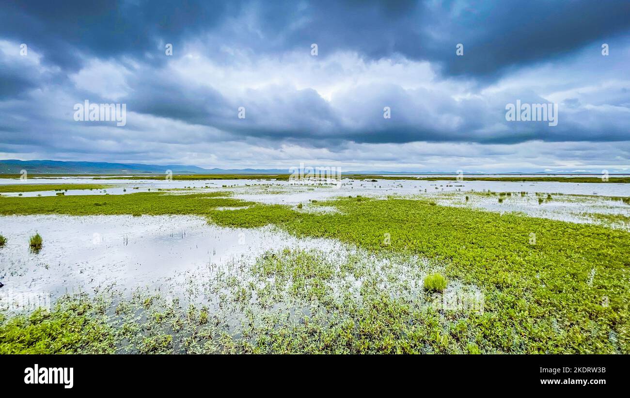 Zoige grasslands hi-res stock photography and images - Alamy