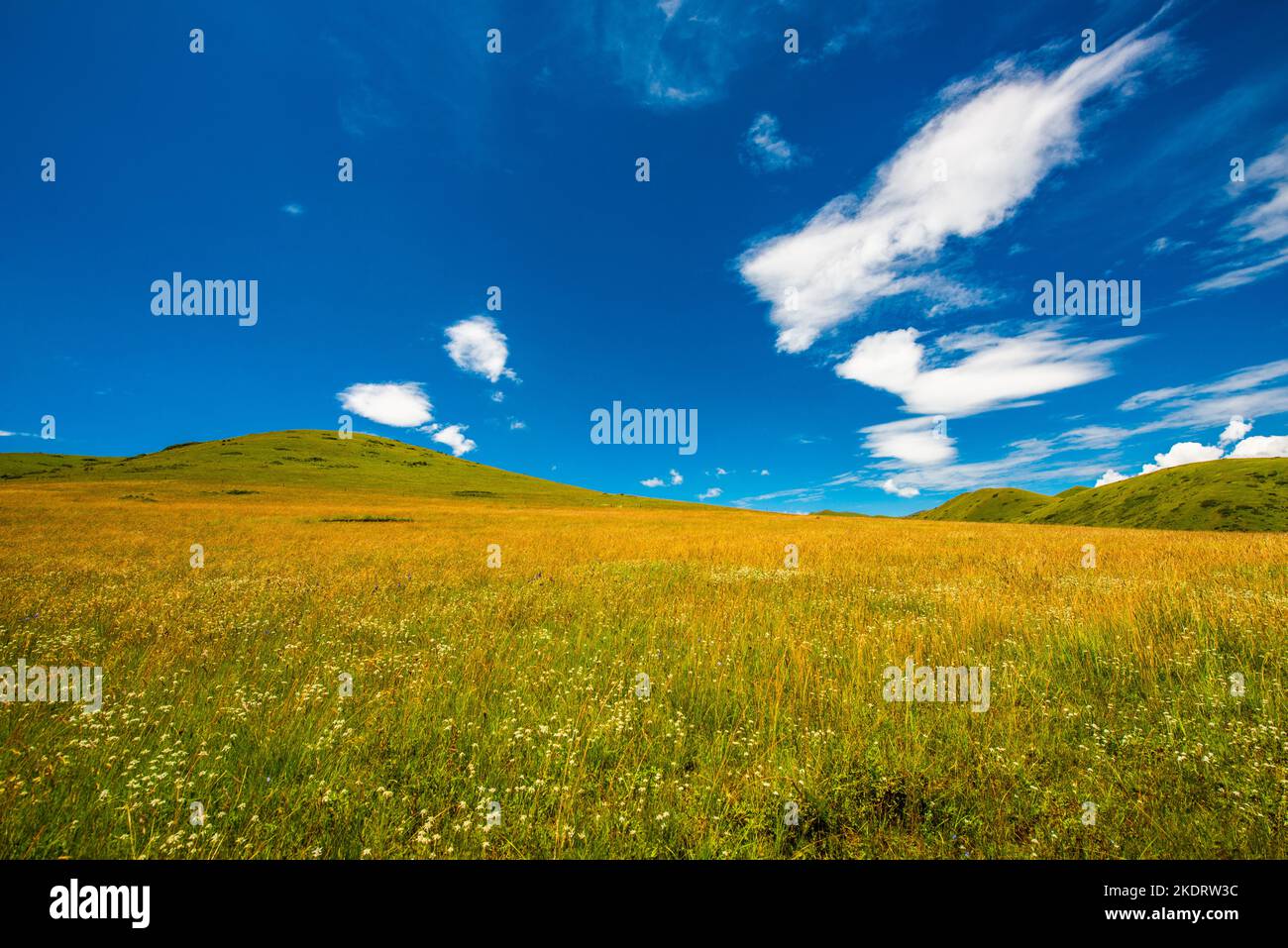 Michael tang road hi-res stock photography and images - Alamy