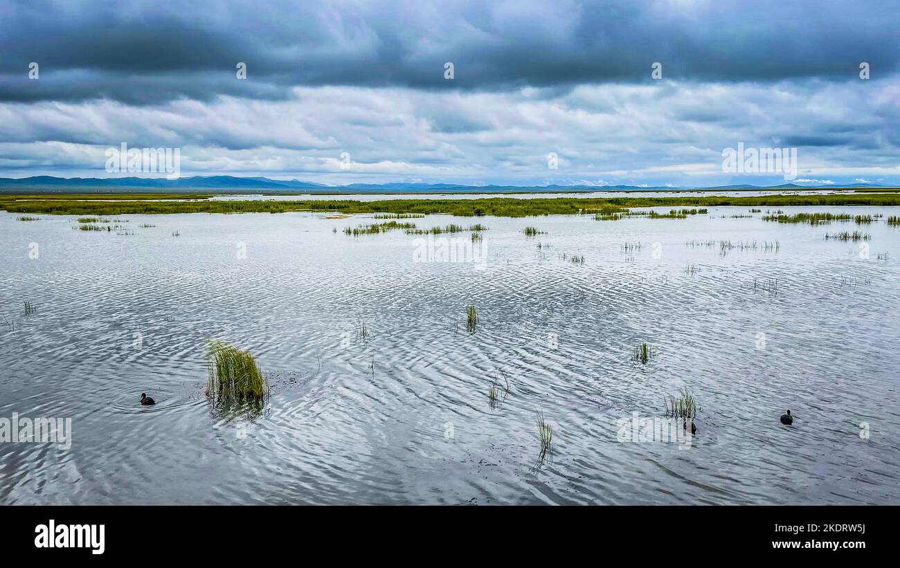 Zoige grasslands hi-res stock photography and images - Alamy
