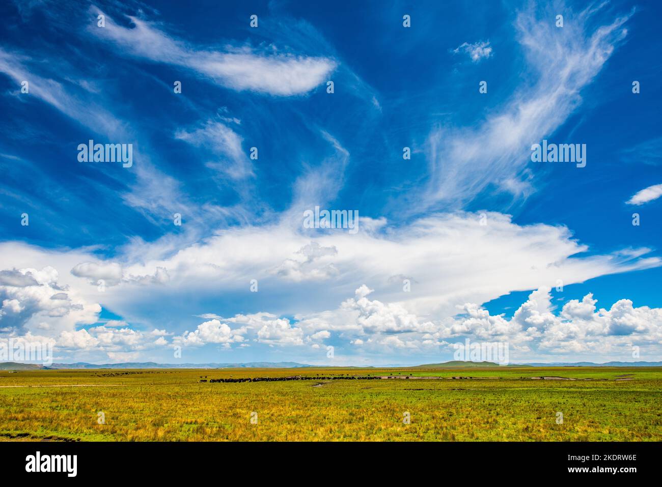 Michael tang highway Stock Photo - Alamy