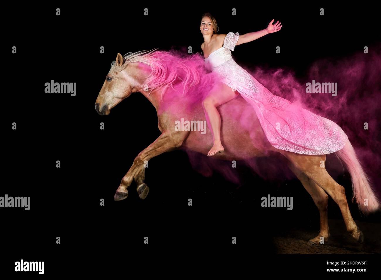 Palomino horse lusitano hi-res stock photography and images - Alamy