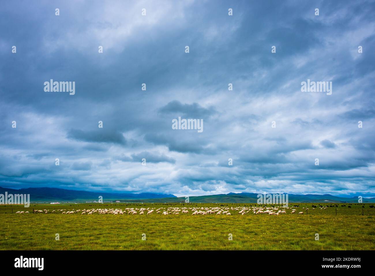 Michael tang road hi-res stock photography and images - Alamy